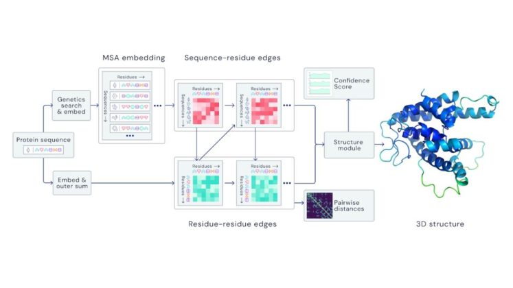 Google’s DeepMind Open Sources 3D Structures of all Proteins