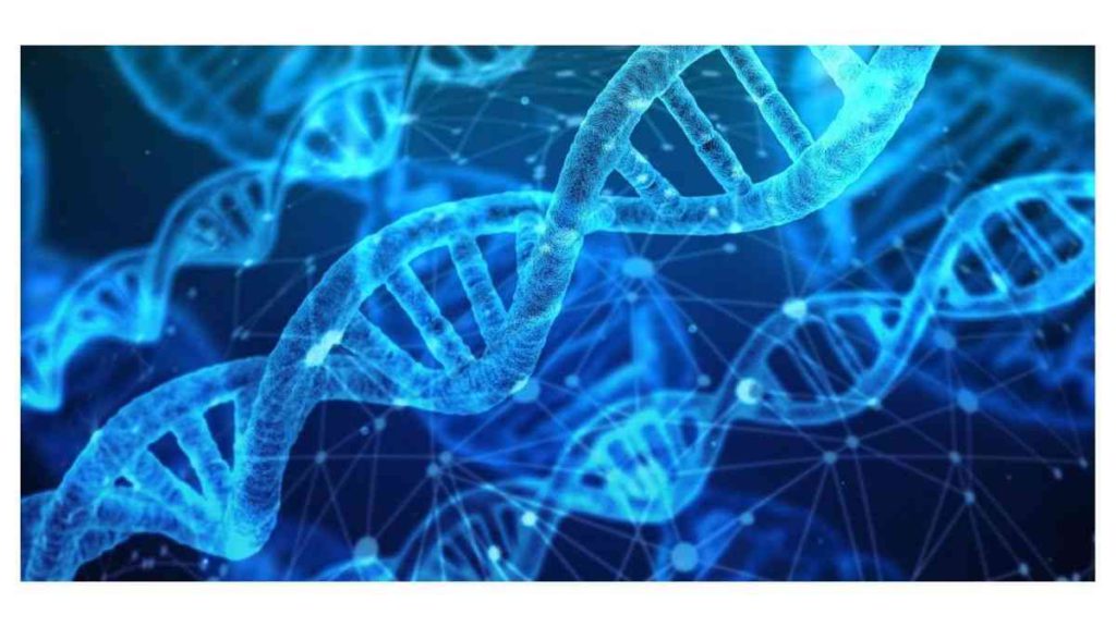 First Machine Learning Designed for Forensic DNA Analysis